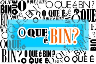 O que é BIN no documento do veículo? E no cartão de crédito?